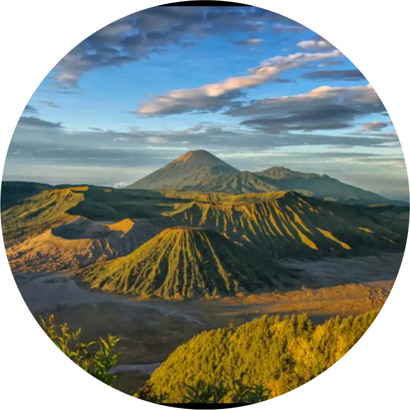 Bromo